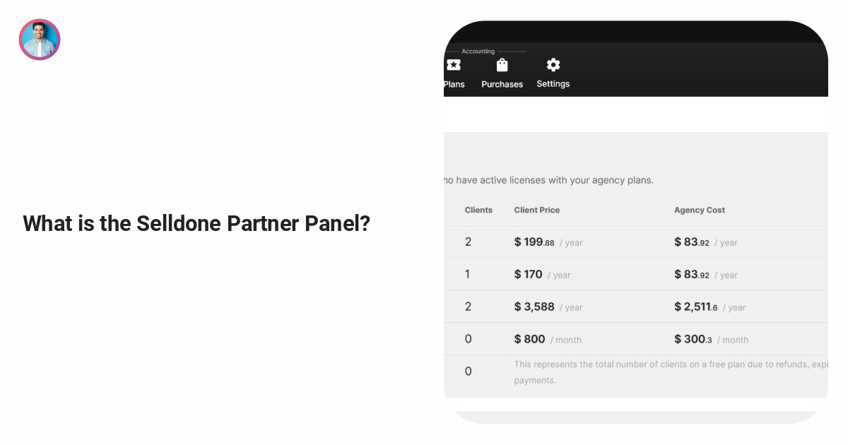 What is the Selldone Partner Panel?